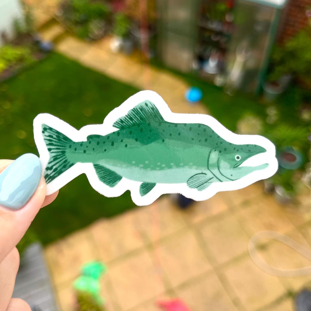 Pink Salmon Vinyl Sticker - Etsy