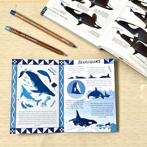 A Pocket Guide to Orcinus Orca - Mini Zine - Etsy