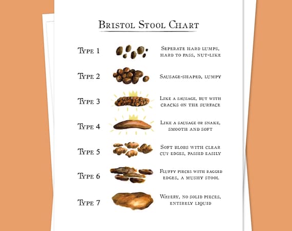 Bristol Stool Chart Digital Download - Etsy UK