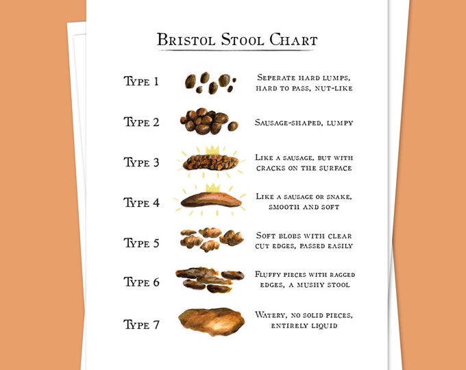 Bristol Stool Chart Digital Download - Etsy UK