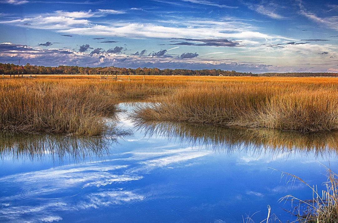 Savannah, Marsh, Landscape, Seascape, Blue Sky, Color Photograph ...
