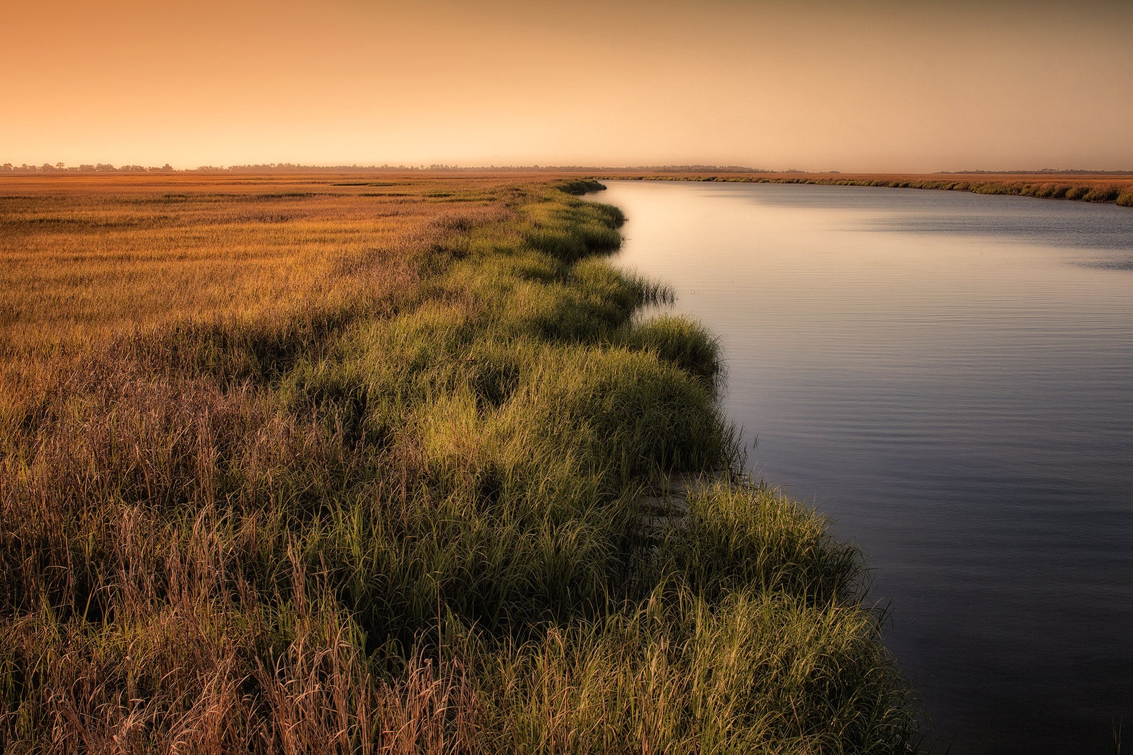 Low Country, Marsh, Photograph, Savannah, Georgia, Tybee Island ...