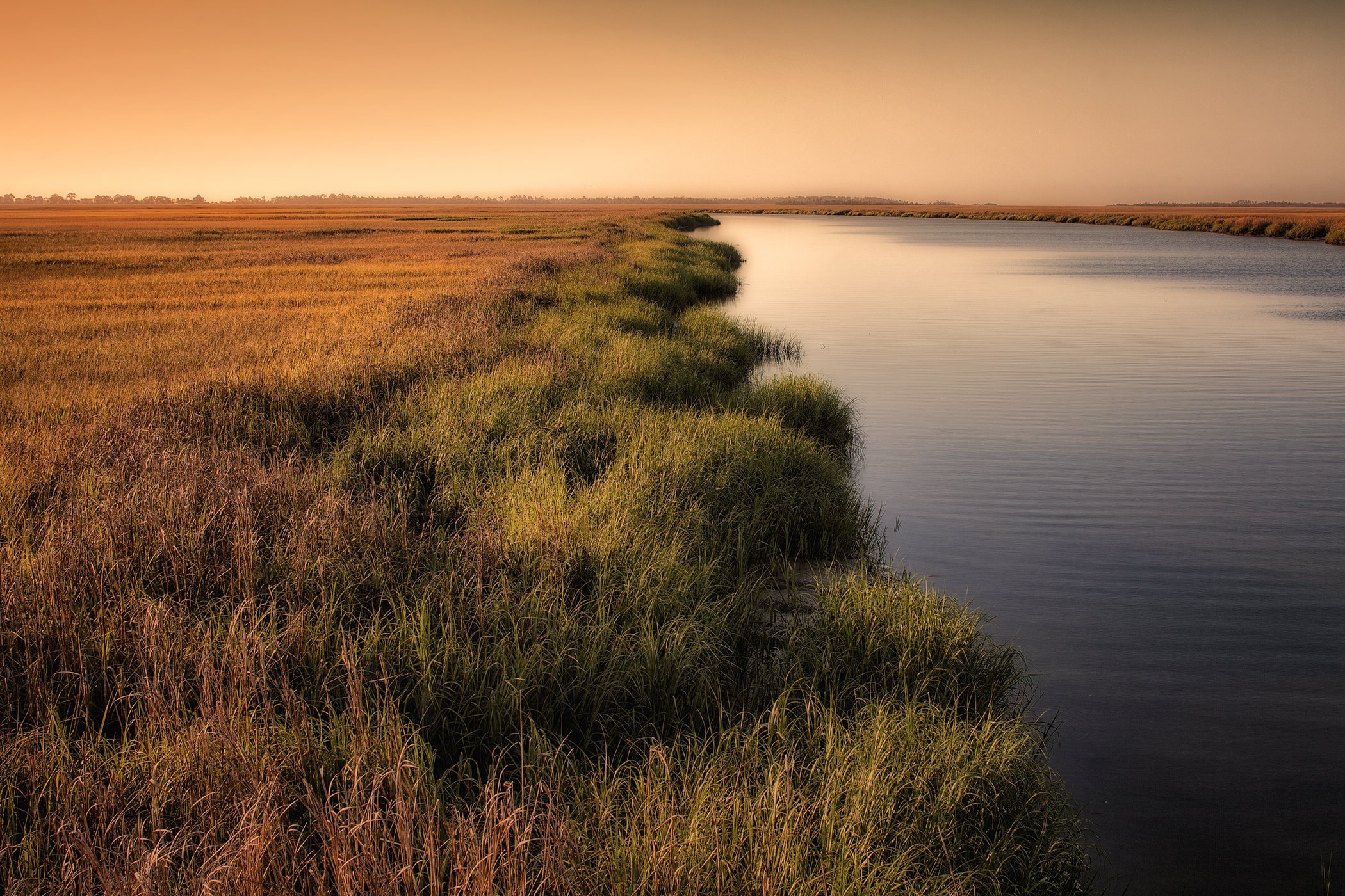 Low Country, Marsh, Photograph, Savannah, Georgia, Tybee Island ...