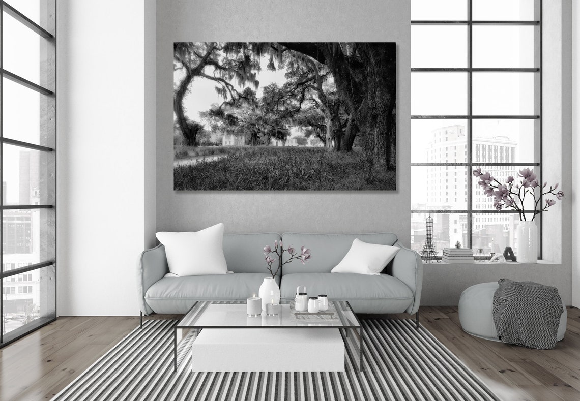 Tree, Oak Tree, Black and White, Wall Art, Fine Art Photograph, South ...