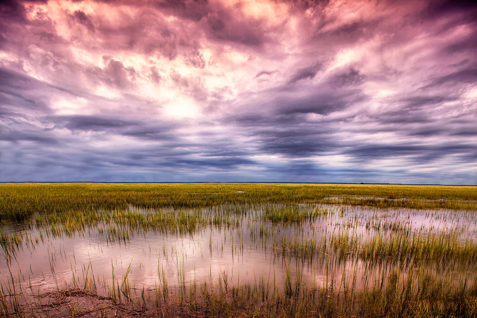 Low Country Marsh With Storm Clouds in Savannah, Georgia, Low Country ...