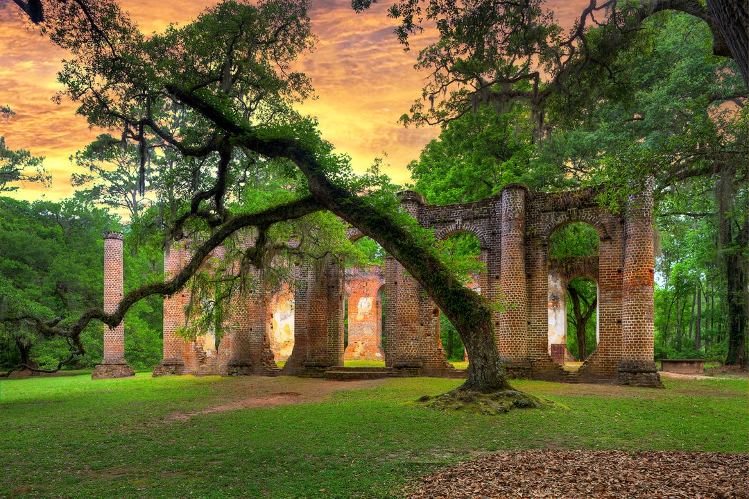 Church Old Sheldon Church Live Oak Tree South Carolina - Etsy