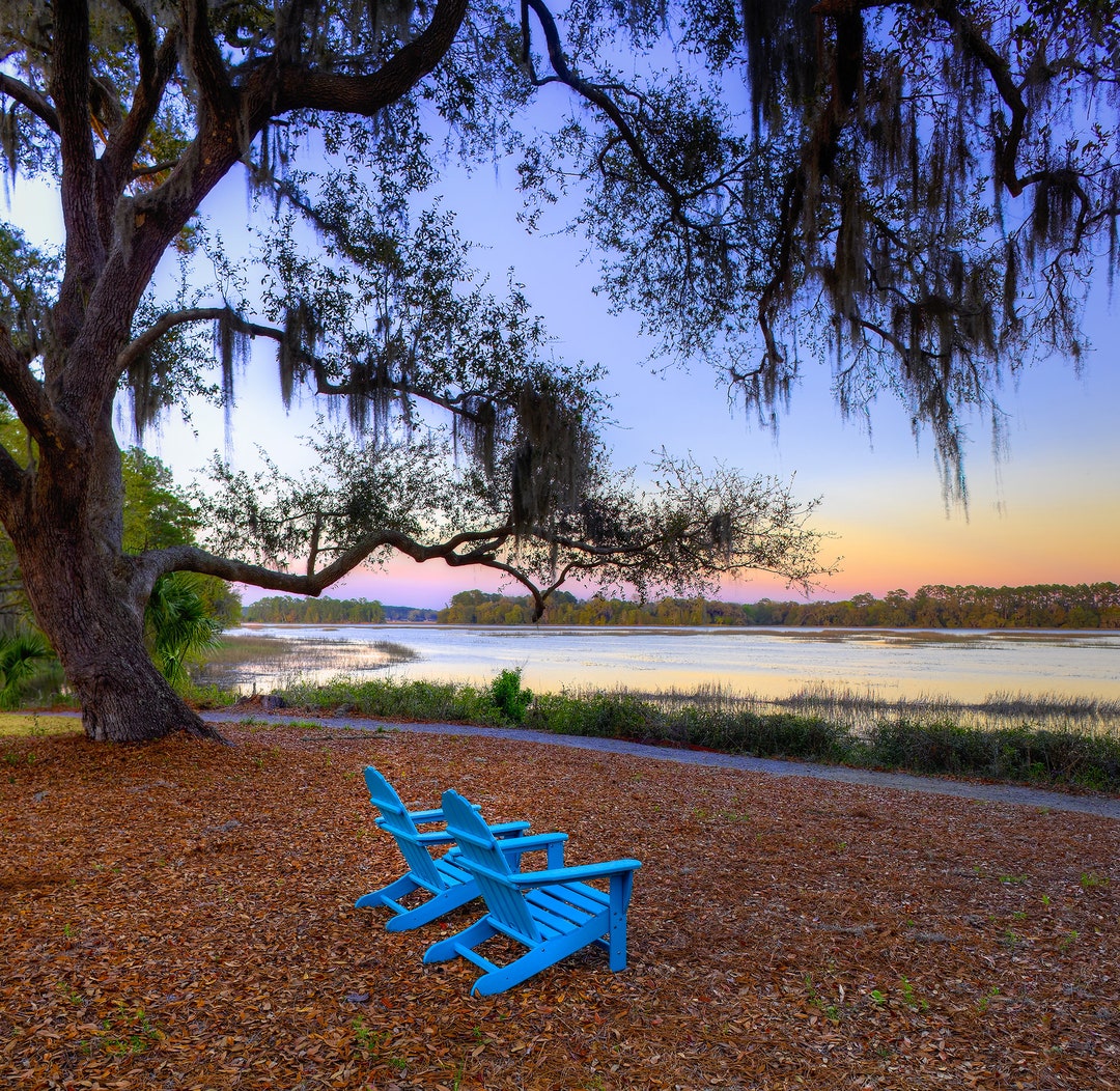 Photograph, Low Country Art, Marsh, Live Oak Tree, Color Photograph ...