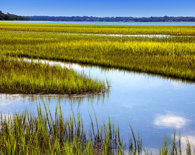 Photograph of the Low Country Marsh on Hilton Head, South Carolina. Low ...