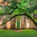 Church, Old Sheldon Church, Live Oak Tree, South Carolina, Color ...