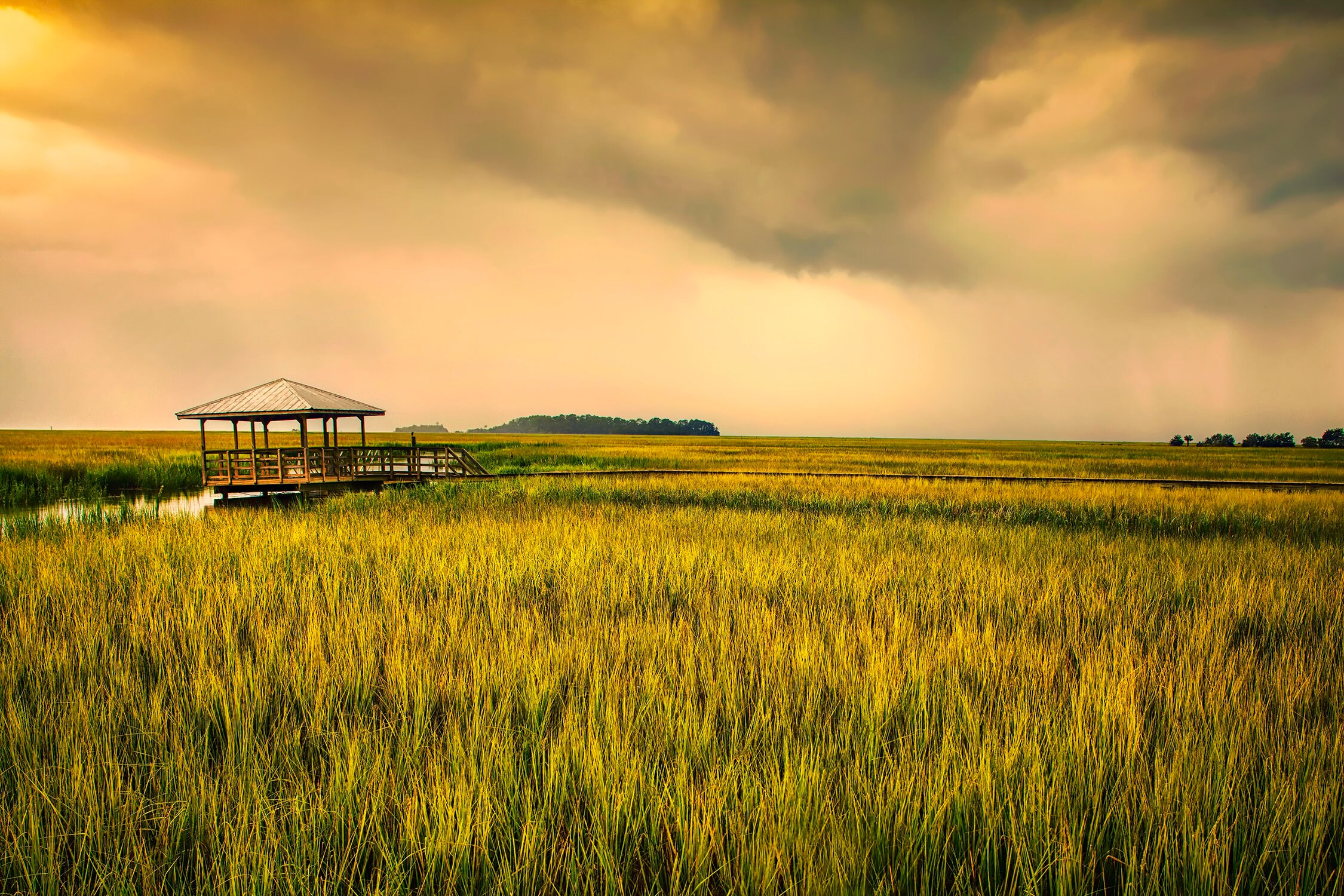 Photograph of the Marsh in Savannah, Georgia Coast, Low Country Art ...