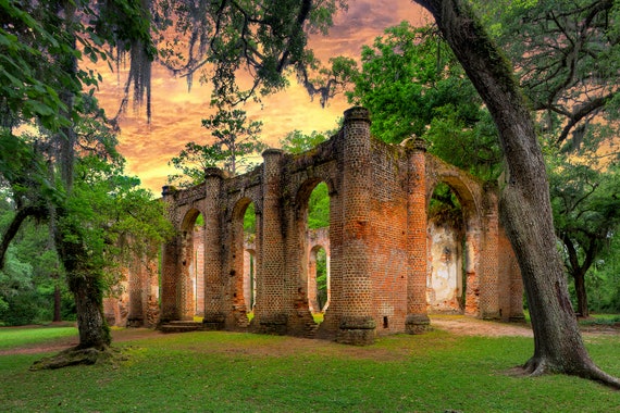 Old Sheldon Church Live Oak Tree Yemassee South Carolina - Etsy