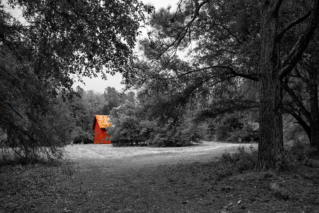Photograph of a Farm Scene in Rural Georgia. Low Country Art, Landscape ...