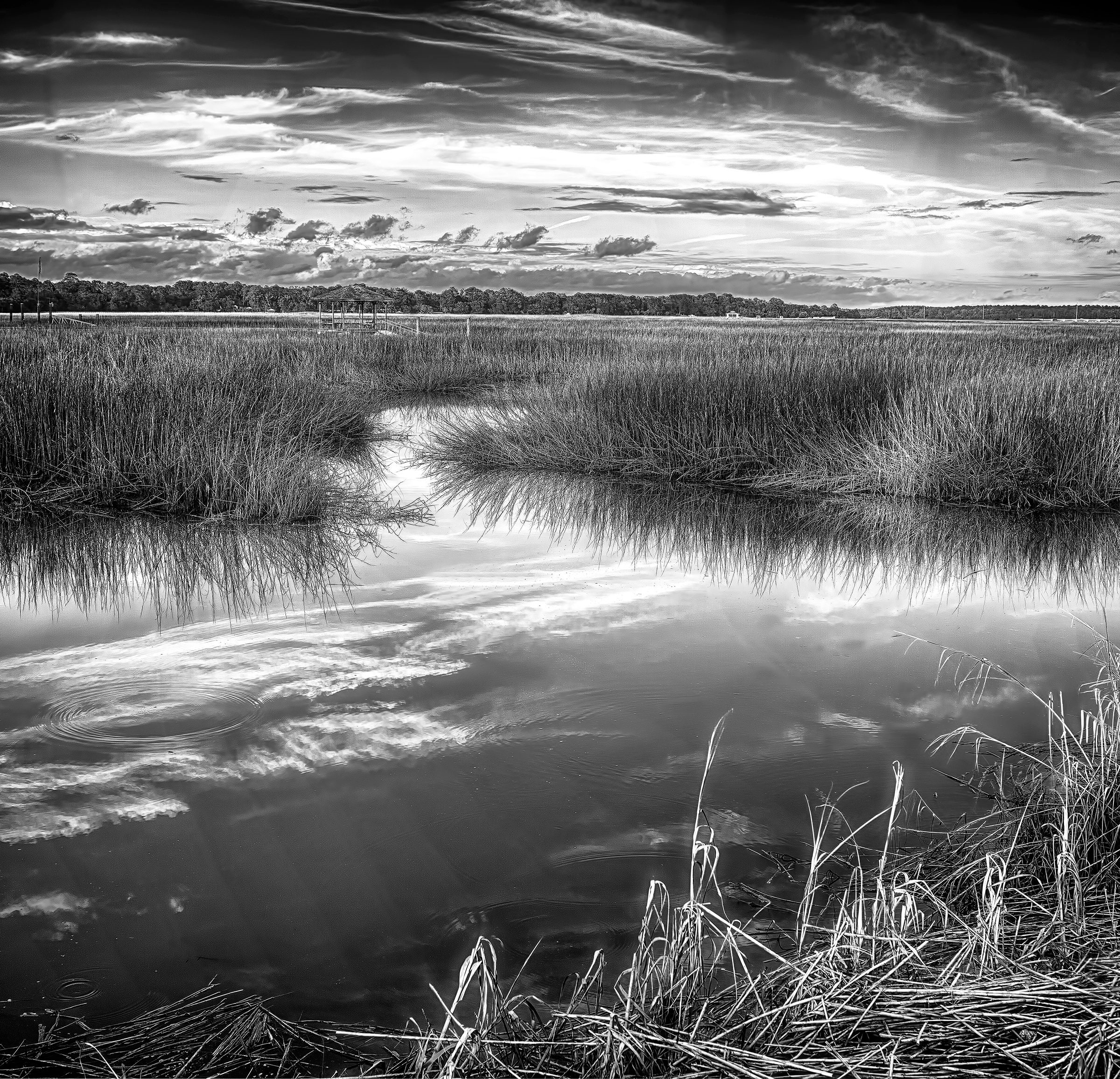 Low Country Art, Marsh, Black and White Photograph, Wall Art, Savannah ...