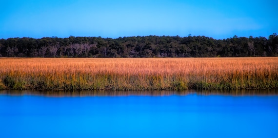 Southern Marsh Background