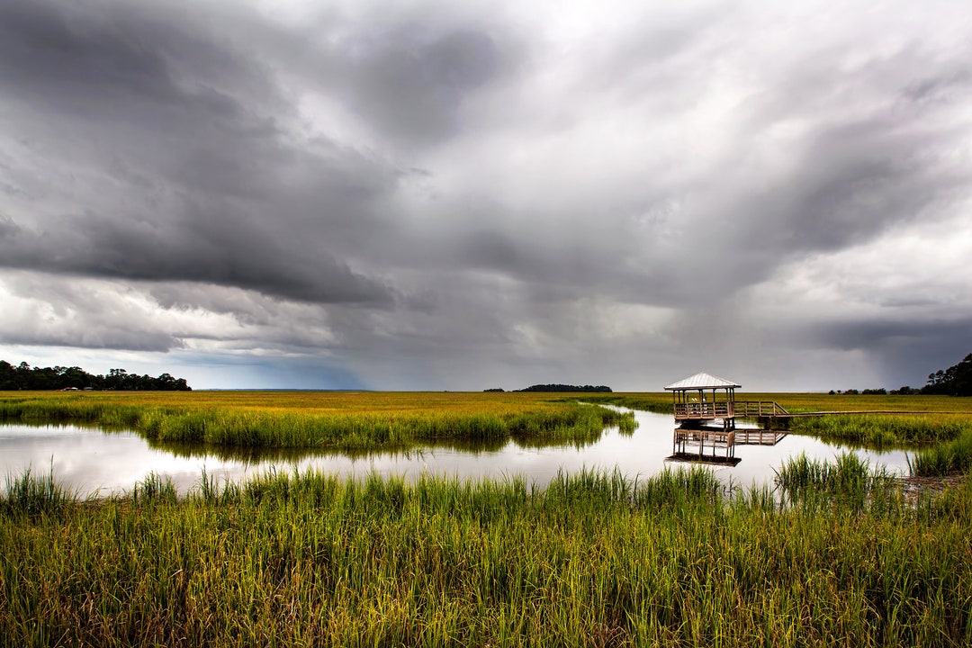 Photograph of the Marsh in Savannah Georgia. Low Country Art, Marsh ...
