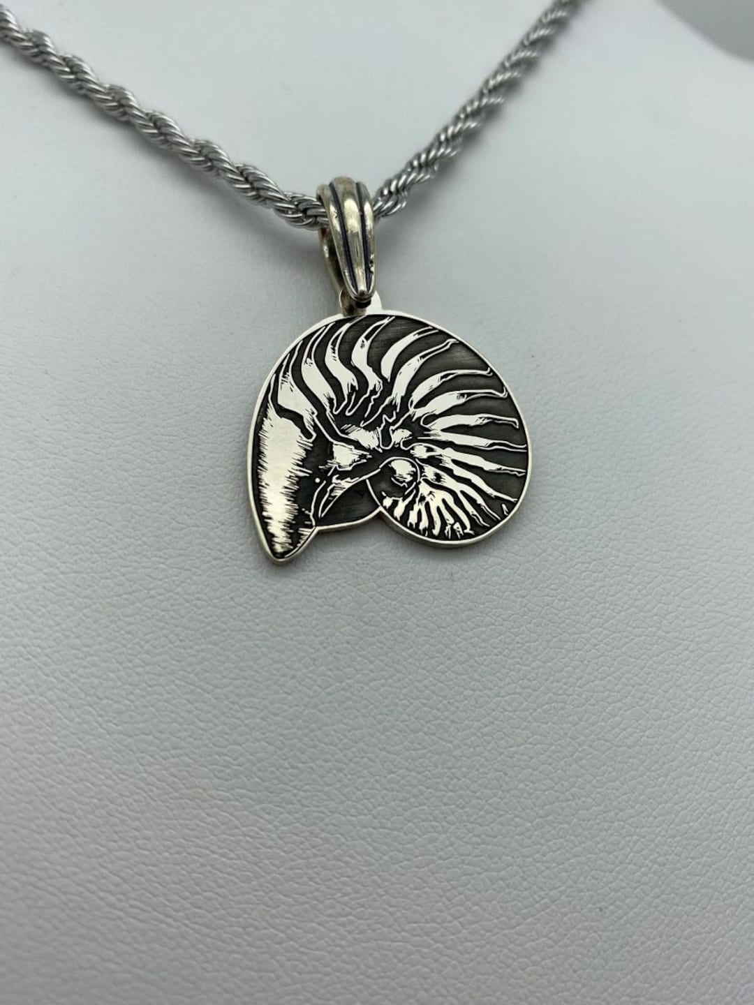 Handmade Nautilus Shell Pendant, 1964 Silver JFK Half Dollar, Chain ...