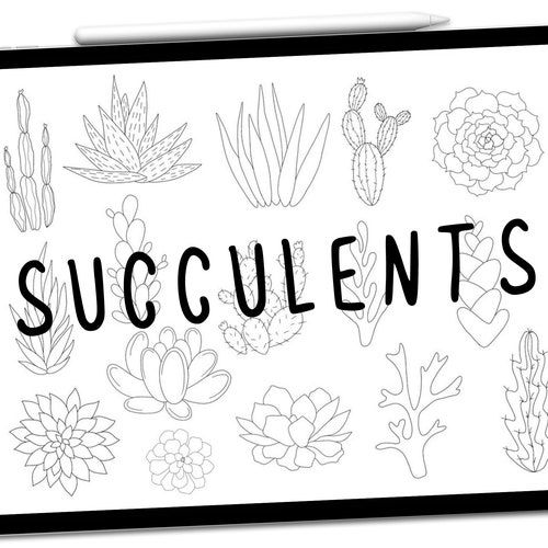 Procreate Beach Stamp Brushes Set / Stamp Pack/ Beach Stamps/ | Etsy