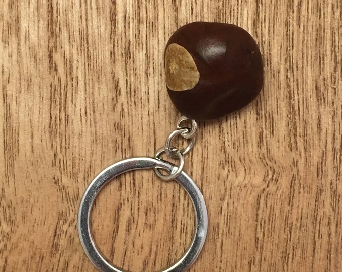 Buckeye Charm, Real,simple,cured Buckeye Charm/zipper Pull/pendant ...