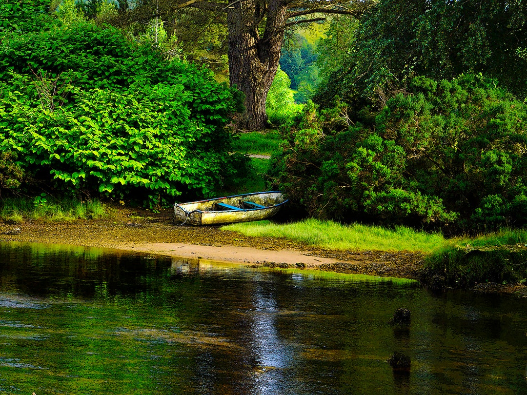 Scotland, Isle of Arran, Boat, Scottish, River, Dreamscape, Forest ...