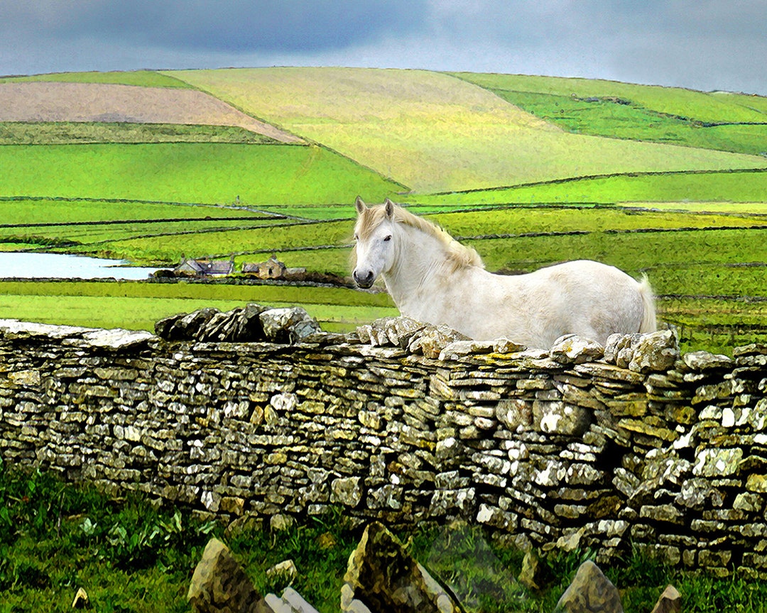 Scotland, Moors, Scottish, Art, Celtic, Unicorn, "highland Unicorn" - Etsy