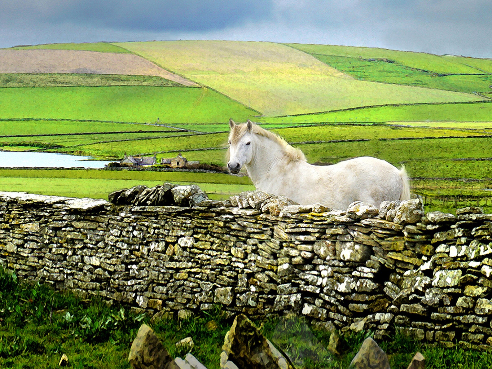 Scotland, Moors, Scottish, Art, Celtic, Unicorn, highland Unicorn - Etsy