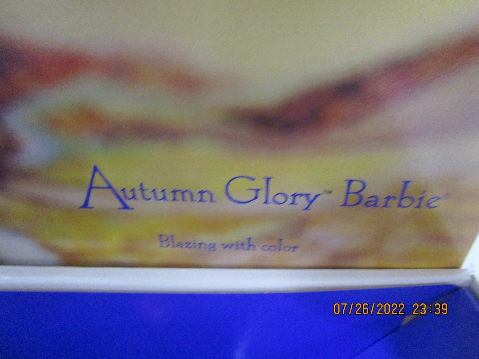 Vintage Autumn Glory Barbie - Etsy
