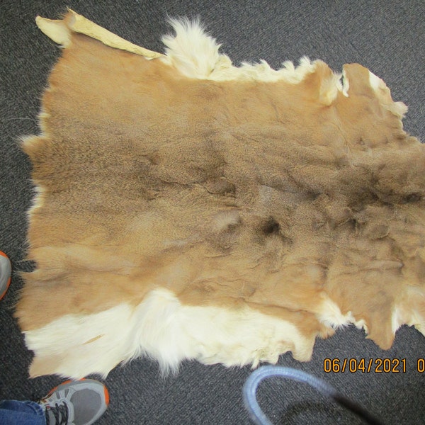 Deer Hide - Etsy