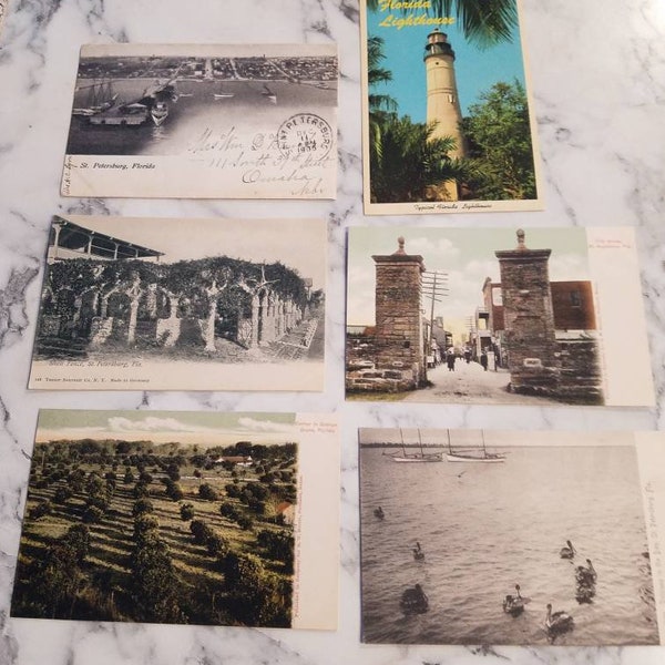 Florida Postcards - Etsy