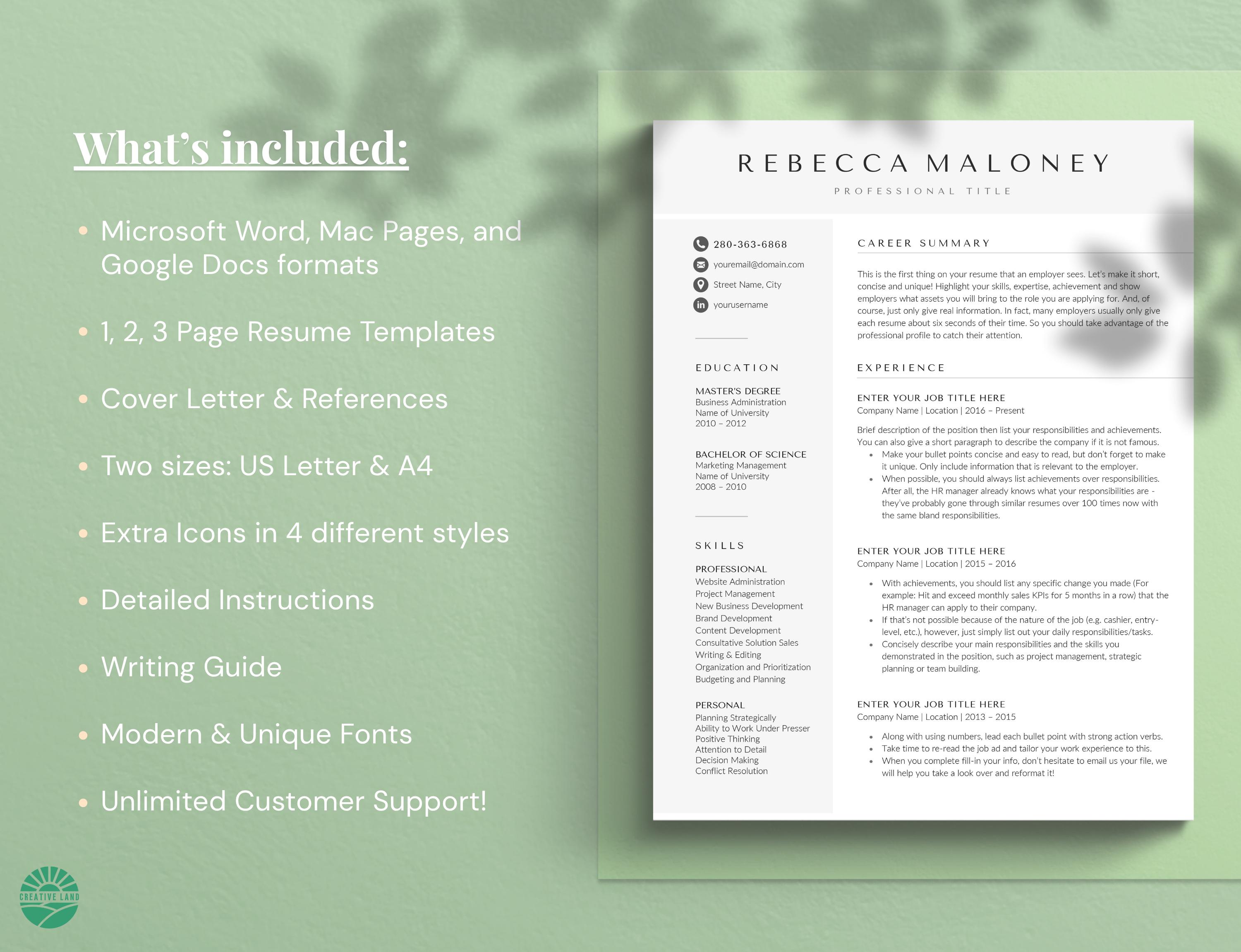 Professional Resume Template for Google Docs, Word, Pages | Clean ...