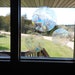 Circle Static Window Clings 10 Rainbow Prism Prevent Bird Collisions - Etsy
