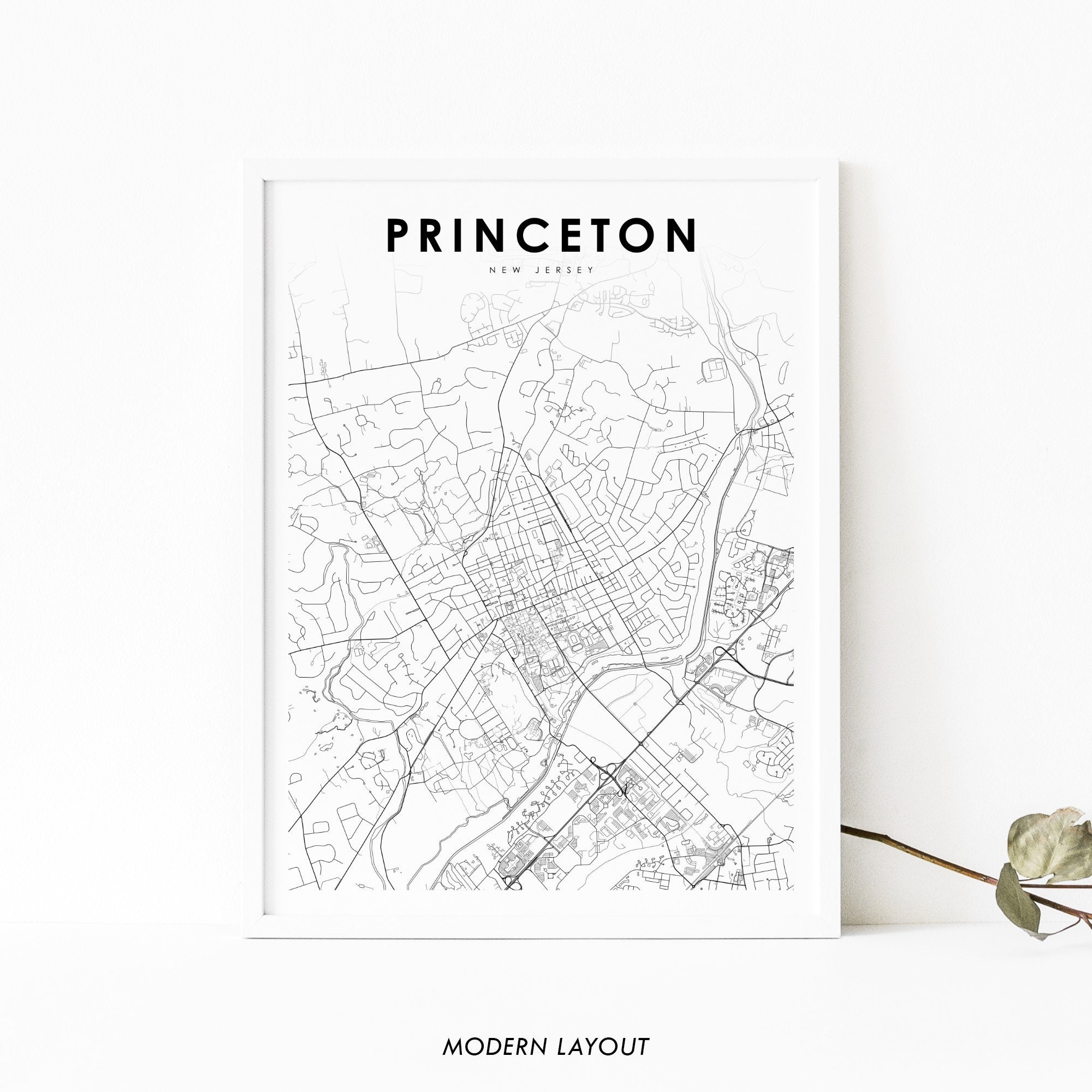Princeton Map