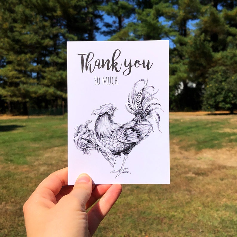 Greeting Card // Rooster // Thank You so Much // Illustrated - Etsy