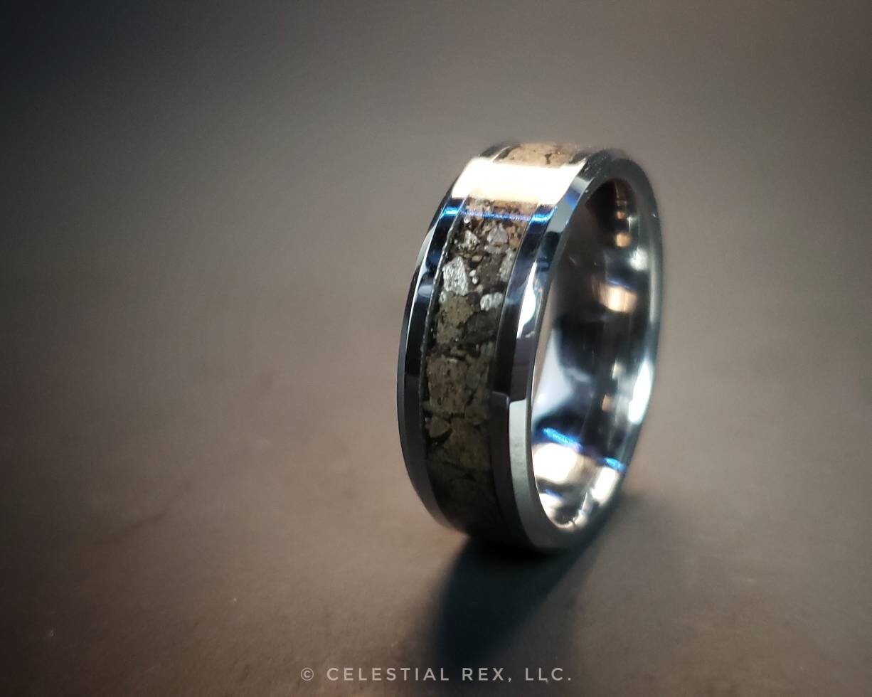 Dinosaur Bone Ring with T-Rex Fossil and Meteorite Beveled | Etsy