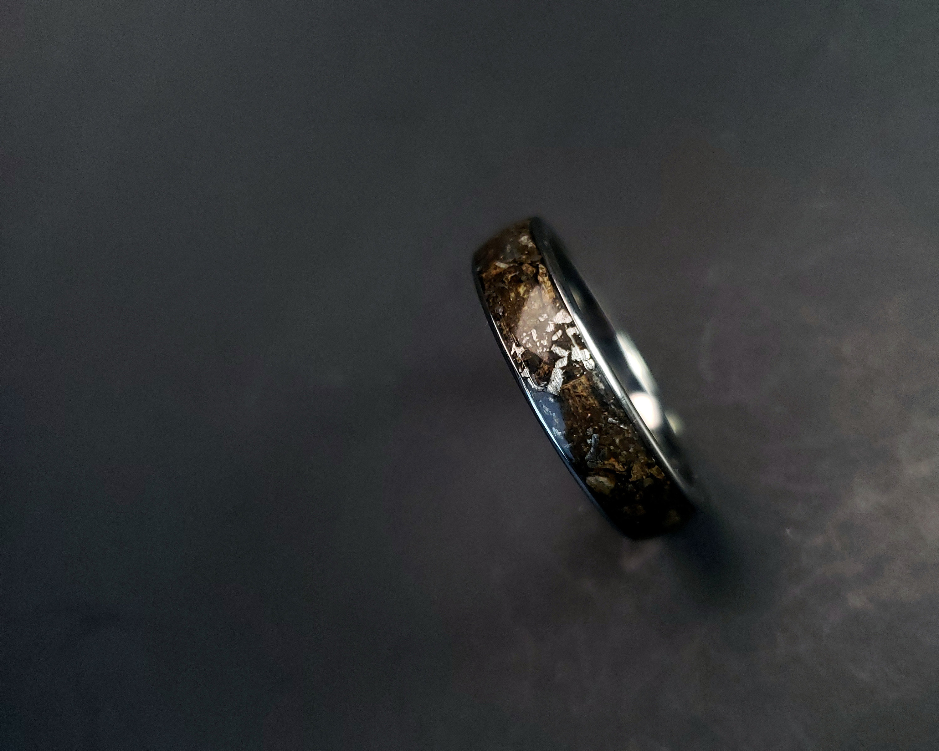 Tyrannosaurs Rex and Meteorite Ring Domed Tungsten Ring | Etsy