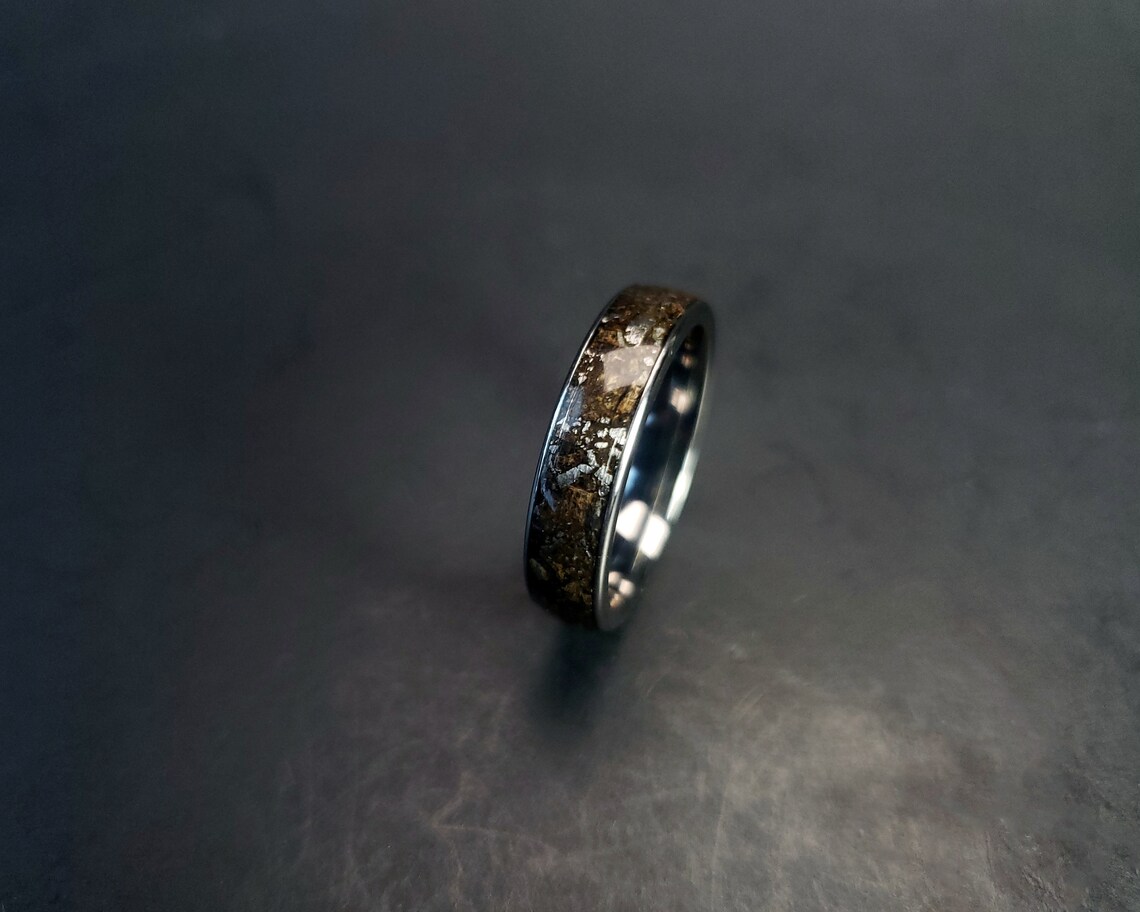 Tyrannosaurs Rex and Meteorite Ring Domed Tungsten Ring | Etsy