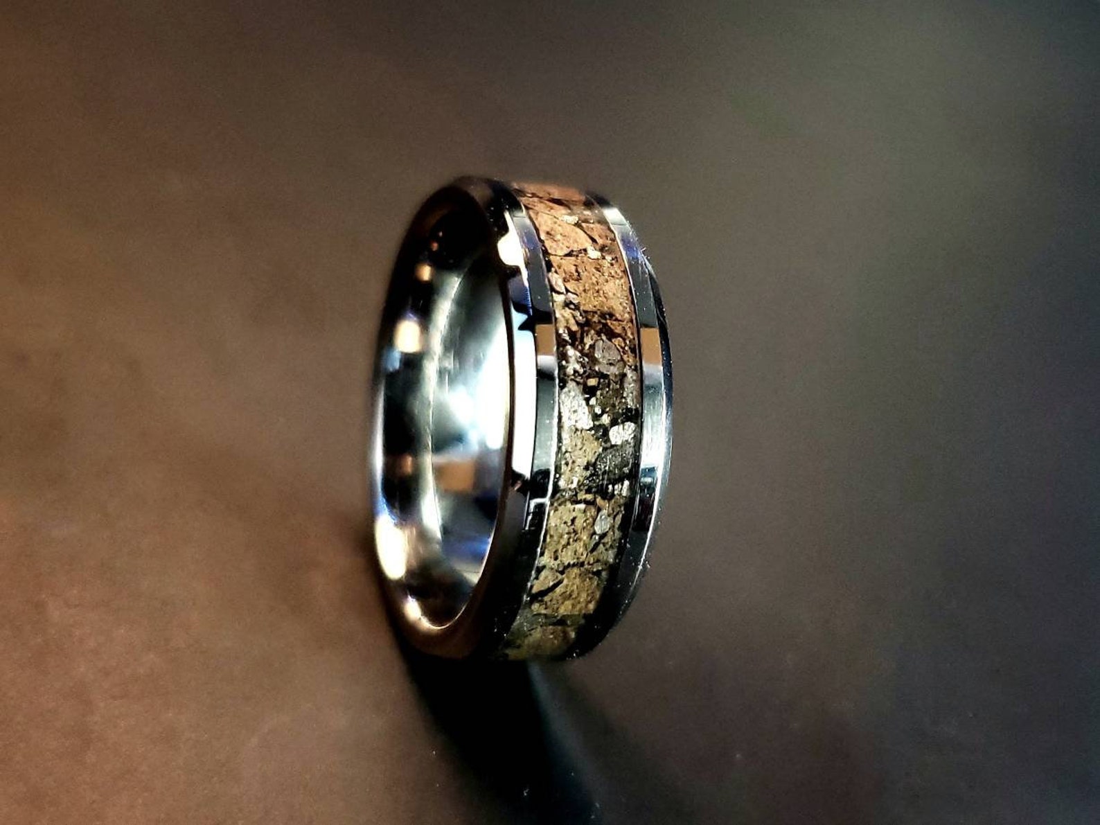 Dinosaur Bone Ring With T-rex Fossil and Meteorite Beveled | Etsy