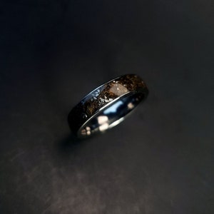 Tyrannosaurs Rex and Meteorite Ring Domed Tungsten Ring - Etsy