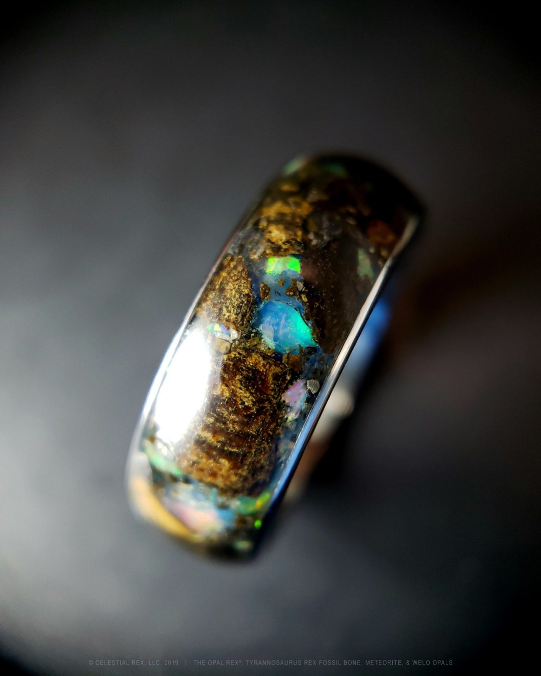 Opal Rex - Tyrannosaurus Rex Dinosaur Bone and Meteorite Ring With Real ...