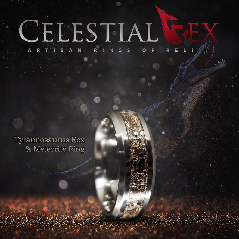 Authentic Tyrannosaurs Rex and Meteorite Ring Space Rex - Etsy
