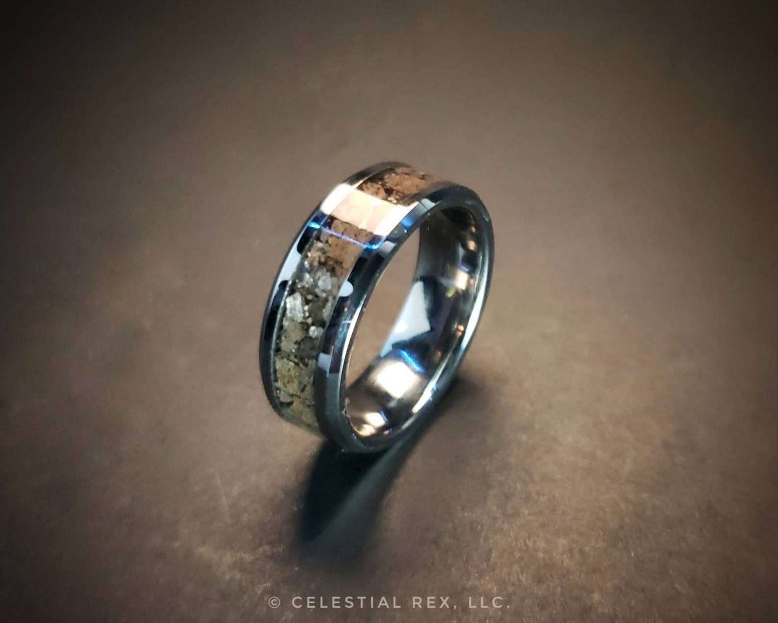 Dinosaur Bone Ring With T-rex Fossil and Meteorite Beveled | Etsy