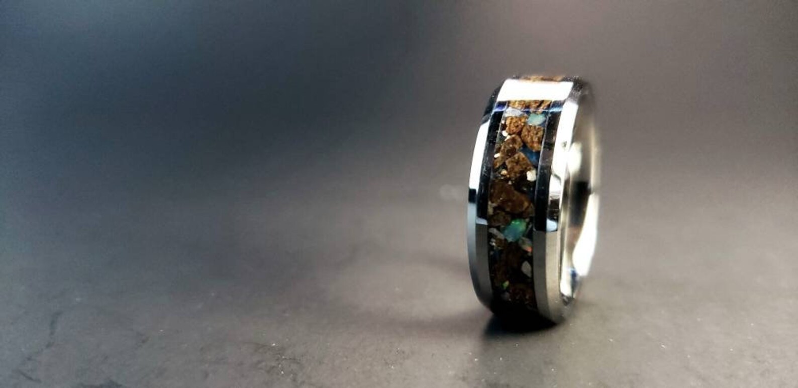 The Opal Rex Unique Tyrannosaurus Rex Dinosaur Bone Meteorite | Etsy