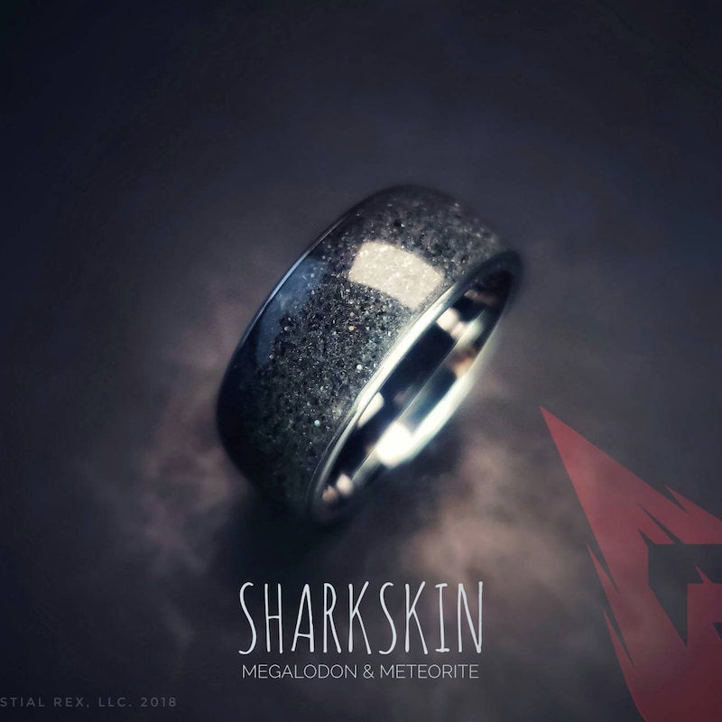 Shark Wedding - Etsy