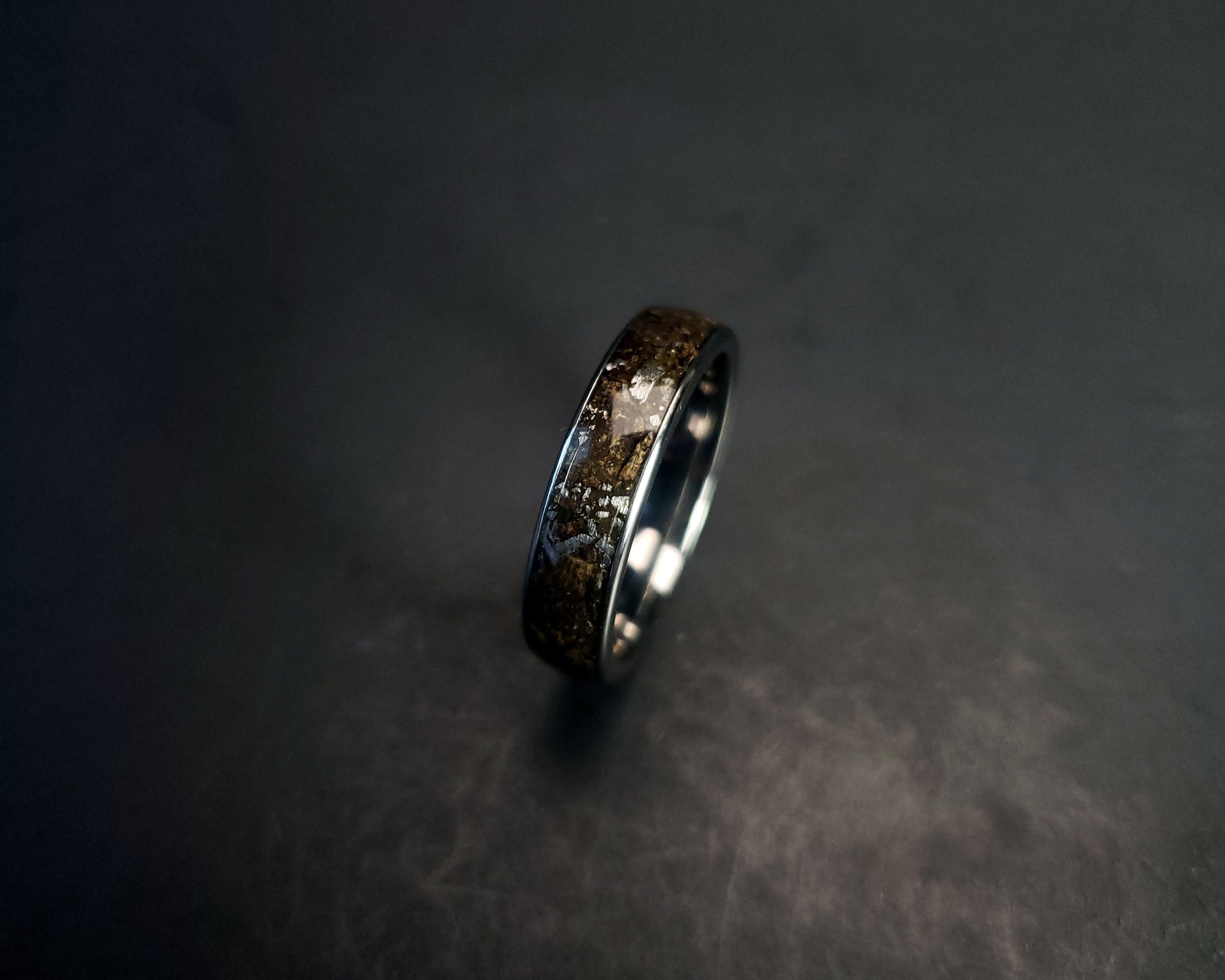 Tyrannosaurs Rex and Meteorite Ring Domed Tungsten Ring | Etsy