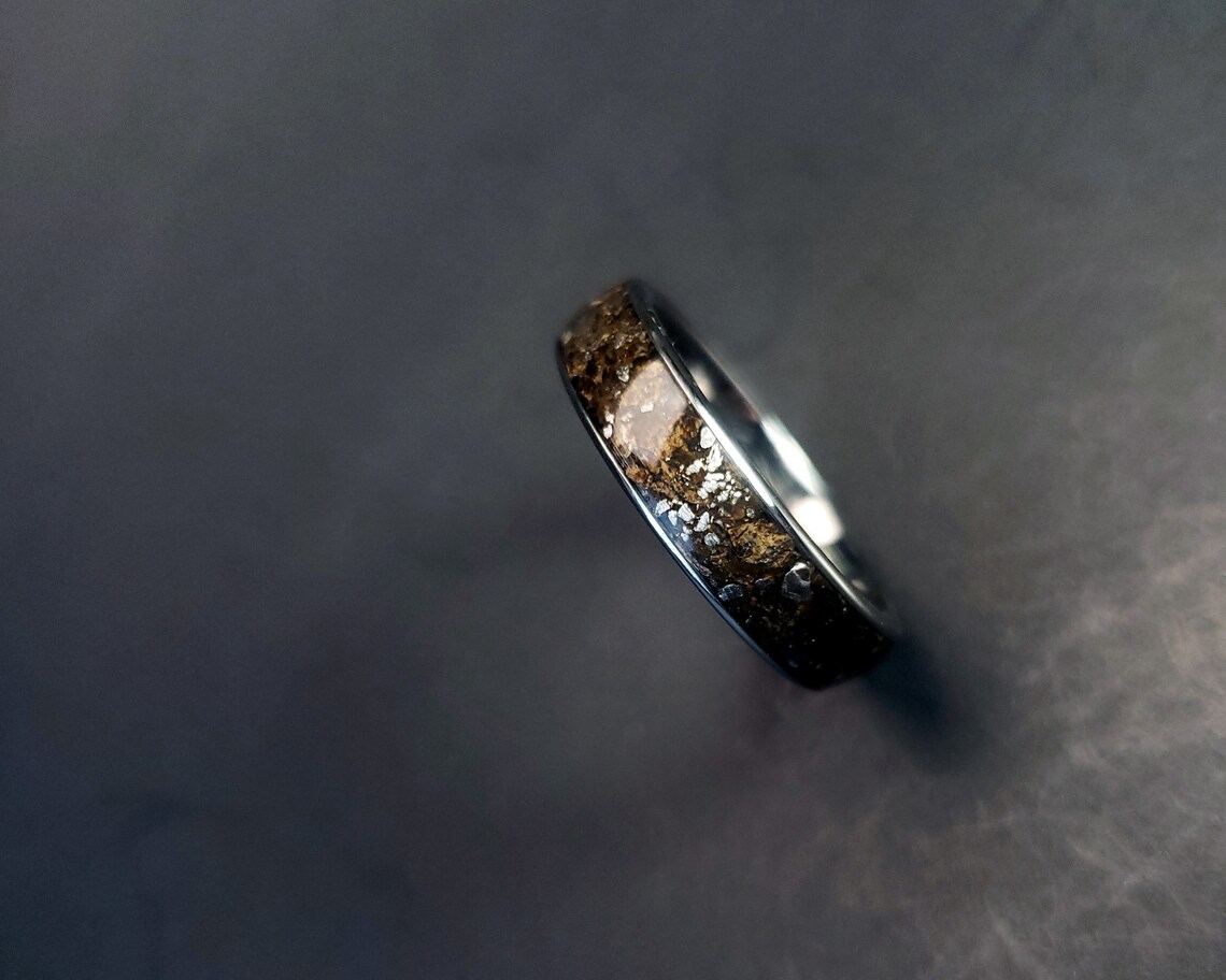 Tyrannosaurs Rex and Meteorite Ring Domed Tungsten Ring | Etsy