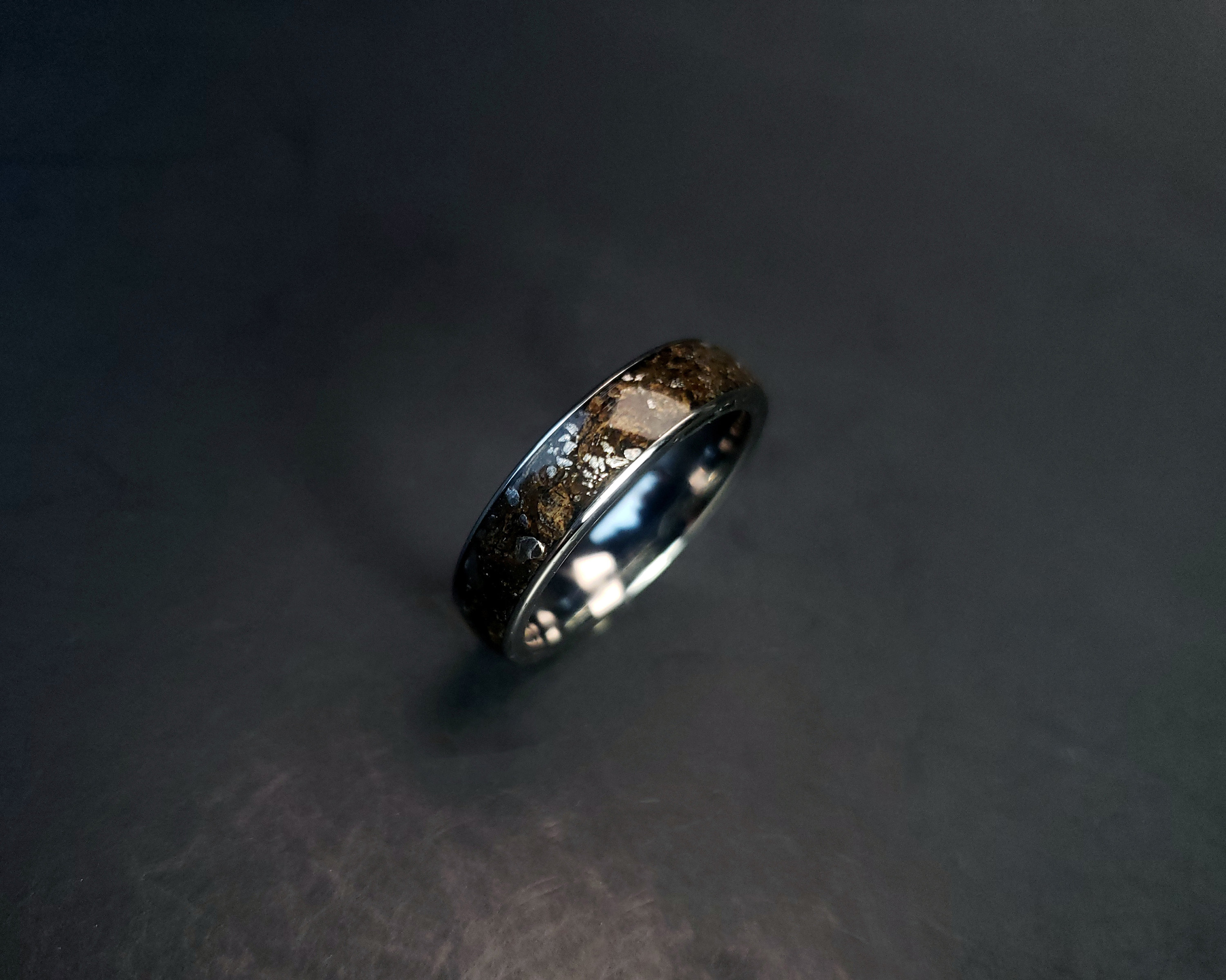 Tyrannosaurs Rex and Meteorite Ring Domed Tungsten Ring | Etsy