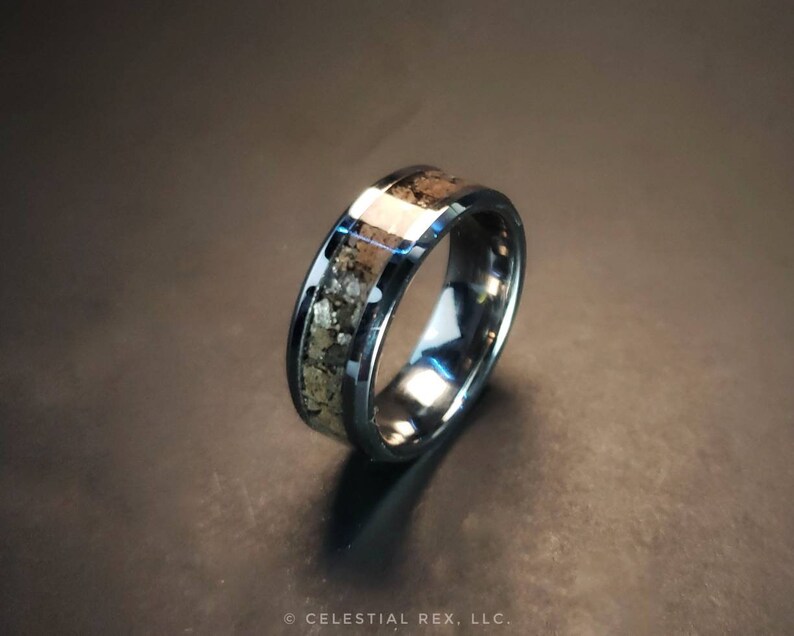 Dinosaur Bone Ring With T-rex Fossil and Meteorite Beveled | Etsy