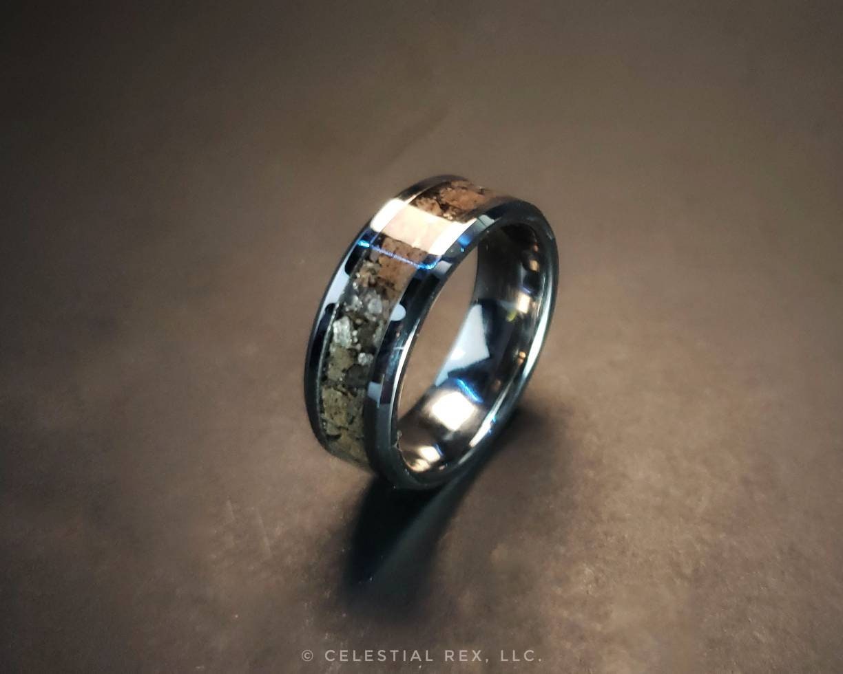 Dinosaur Bone Ring with T-Rex Fossil and Meteorite Beveled | Etsy