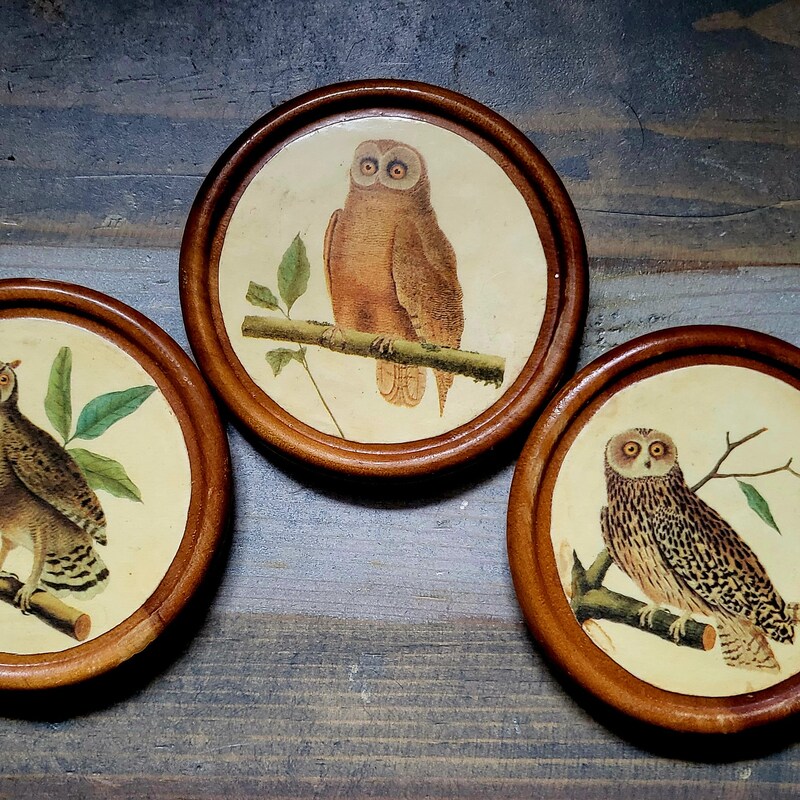 Owl Coasters - Etsy