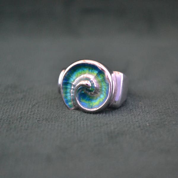 Sterling Enamel - Etsy