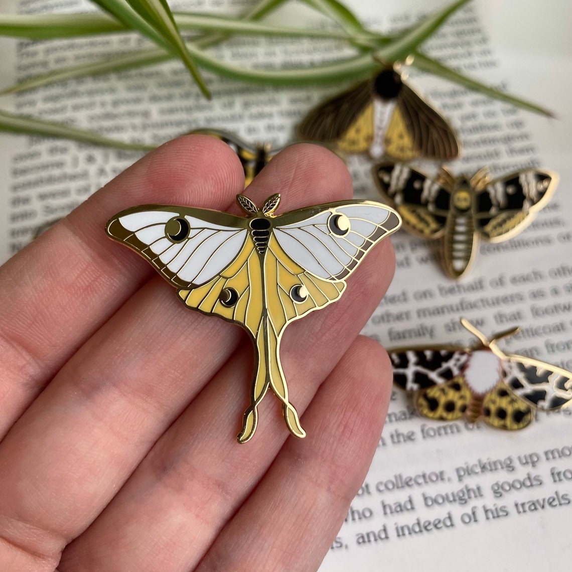 Luna Moth Enamel Pin - Etsy
